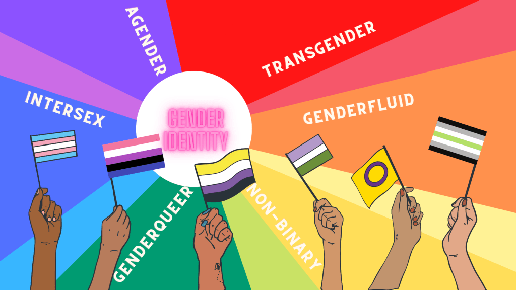 Gender is a Spectrum. – How Did We Get Here?